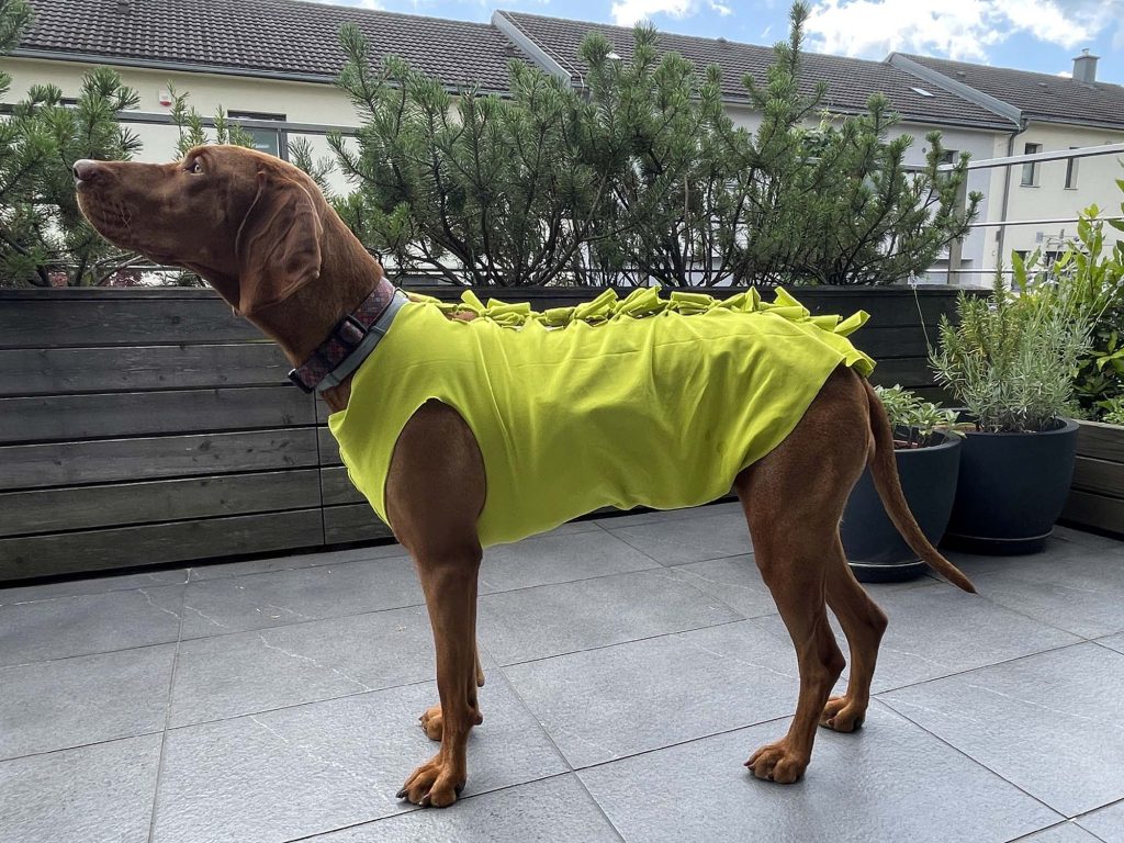 DIY Recovery Suit / PDF SEWING PATTERN - FancyPetPatts