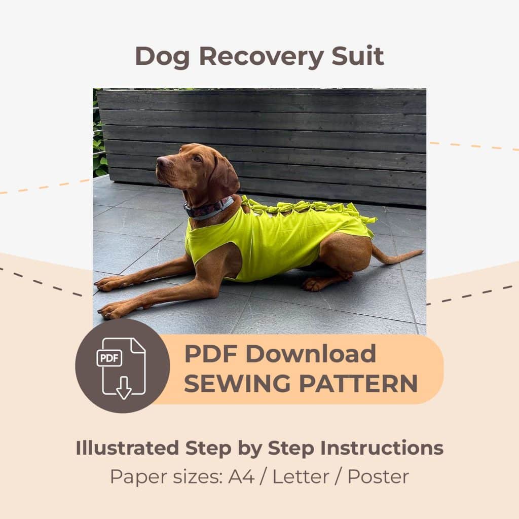 DIY Recovery Suit / PDF SEWING PATTERN - FancyPetPatts