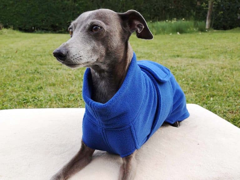 Italian Greyhound Coat / PDF SEWING PATTERN - FancyPetPatts