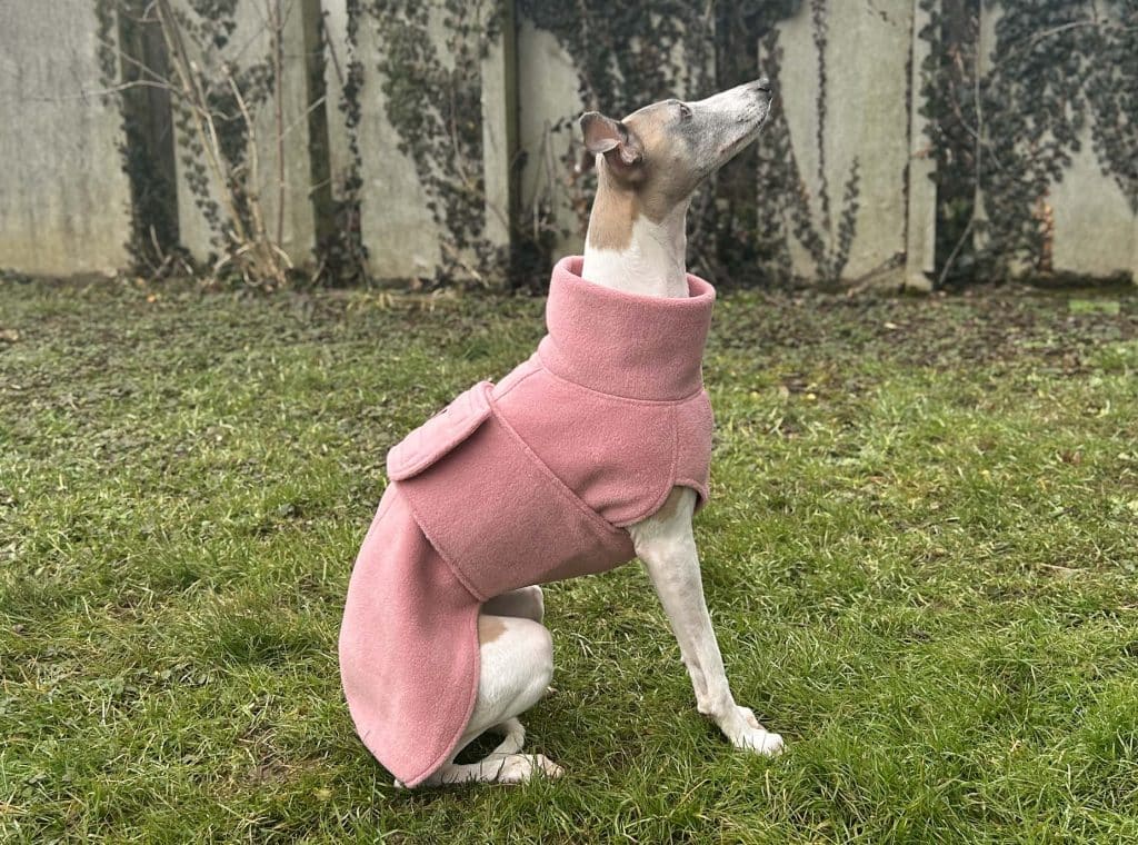 Whippet Coat / PDF SEWING PATTERN - FancyPetPatts