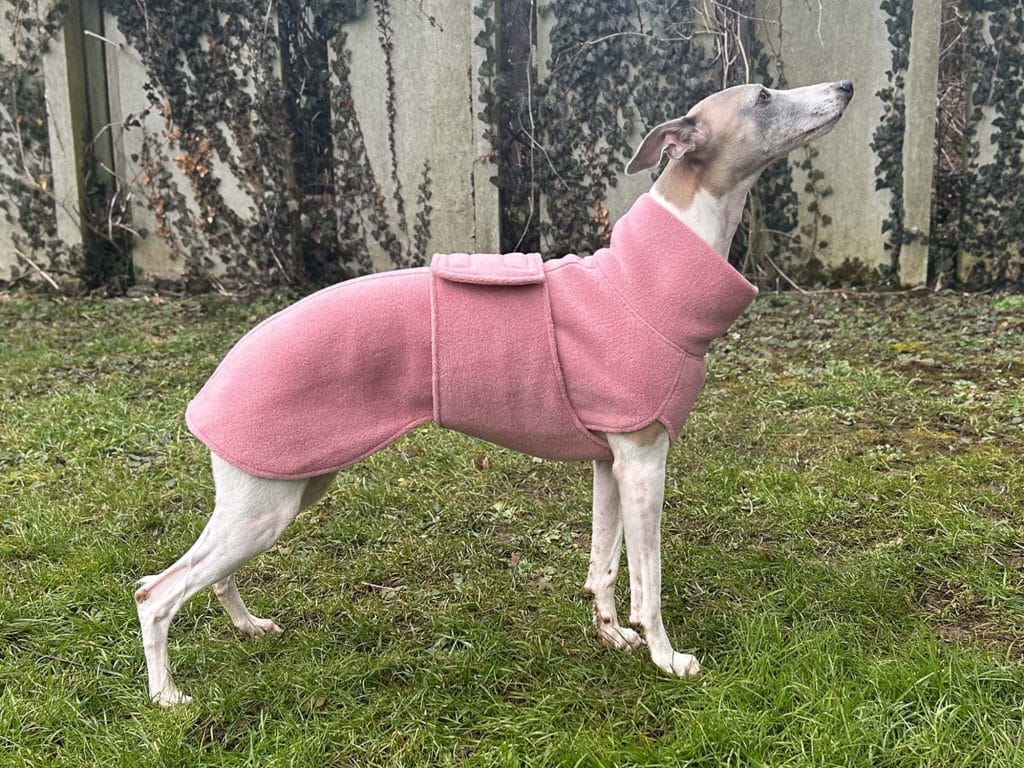 Whippet Coat / PDF SEWING PATTERN - FancyPetPatts