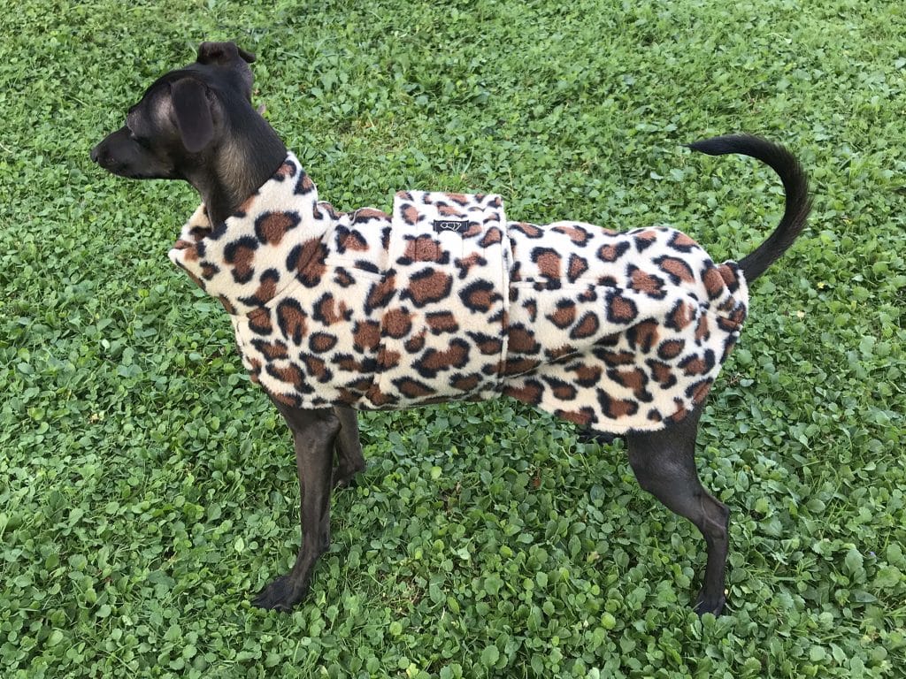 Italian Greyhound Coat / PDF SEWING PATTERN - FancyPetPatts