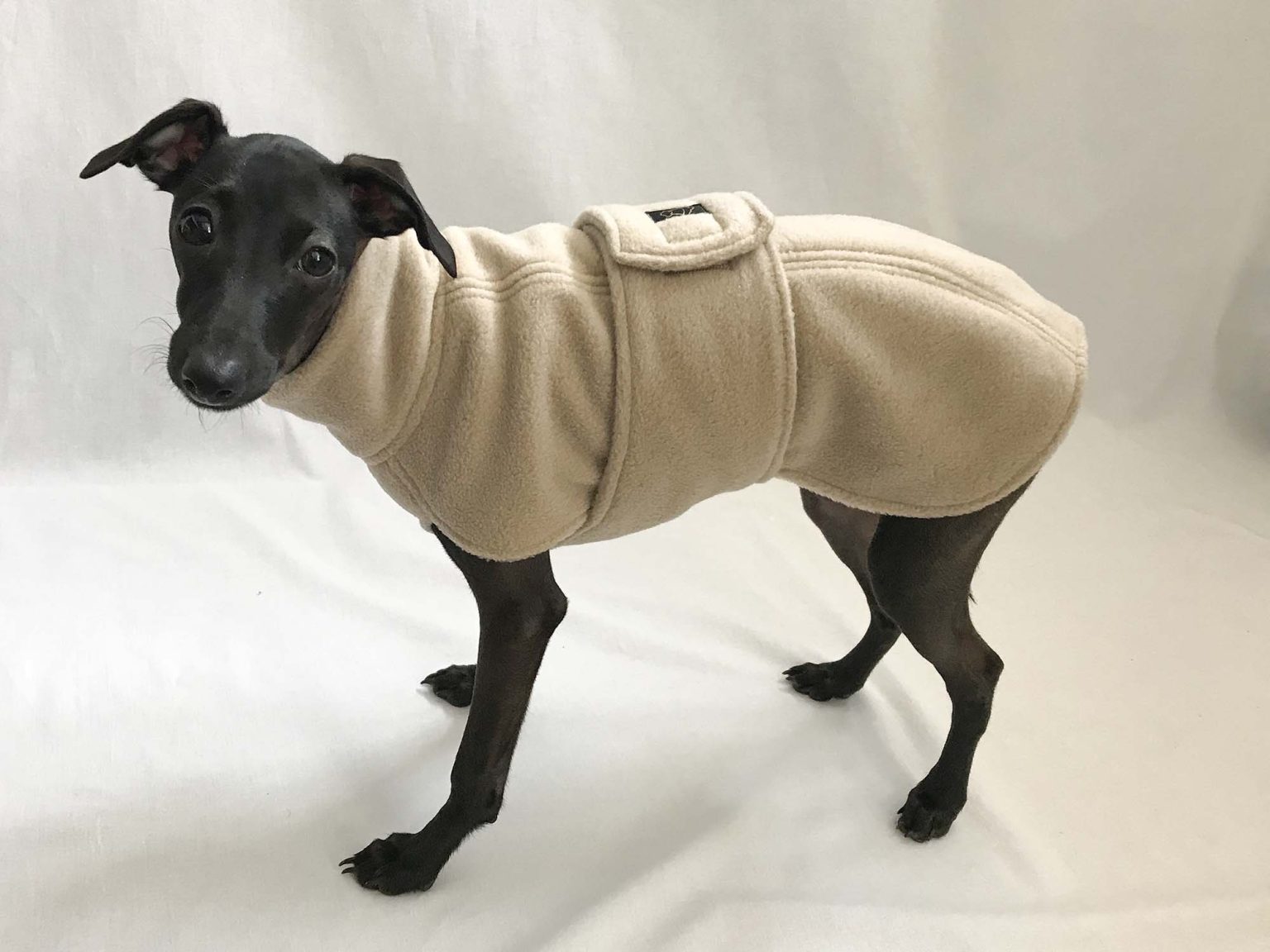 Italian Greyhound Puppy Coat / PDF SEWING PATTERN - FancyPetPatts